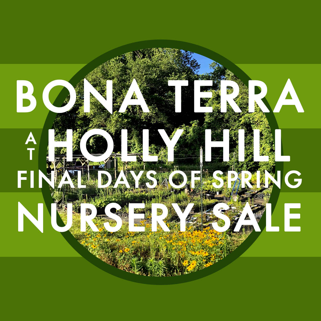Nursery Sale – Bona Terra