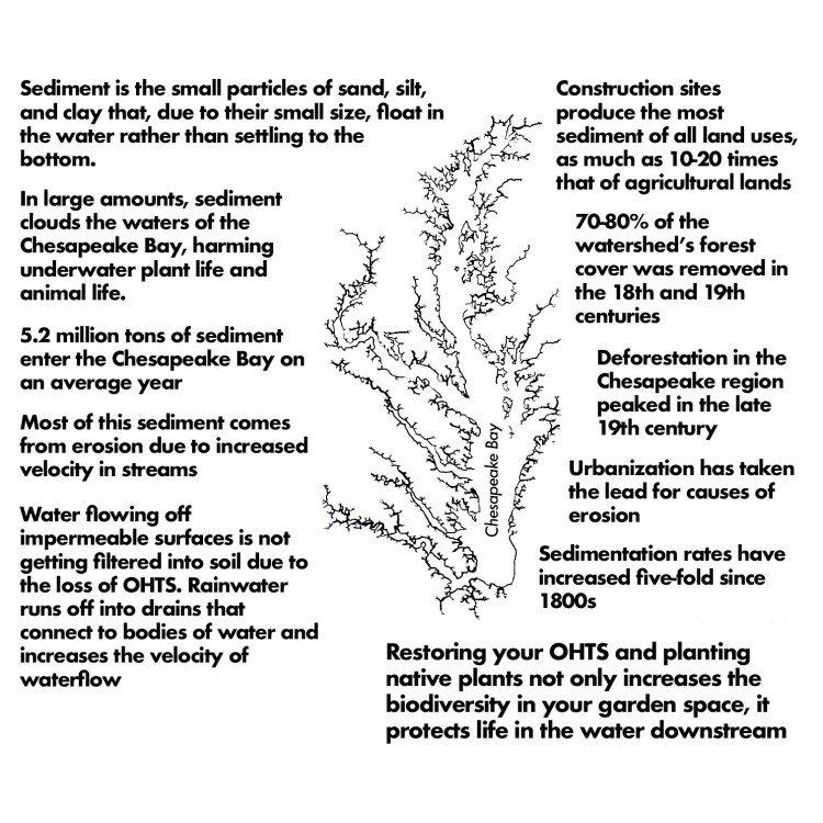 Soil Prep Guide Bona Terra