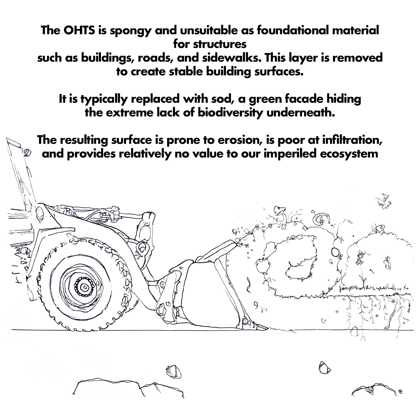 Soil Prep Guide Bona Terra